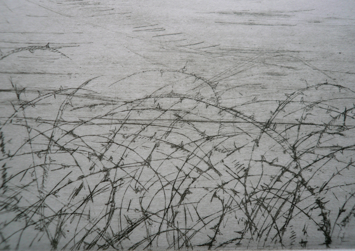 Hill of the Burnt Oats – Turlough Rynne